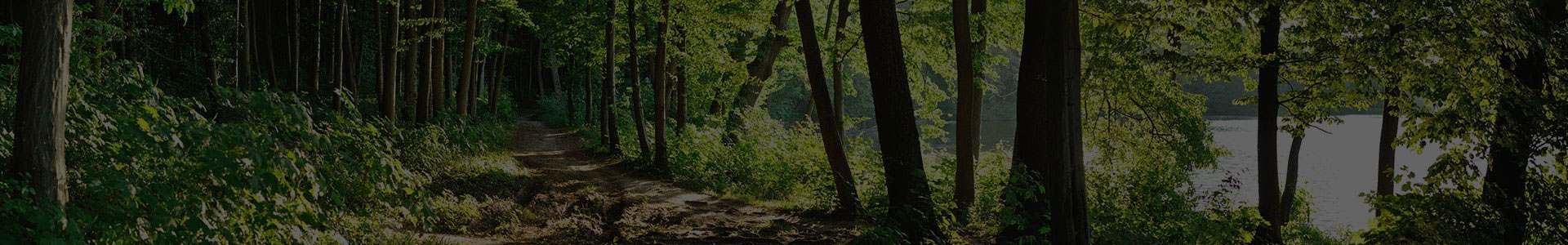 Contact - Niagara Region Money Coaches